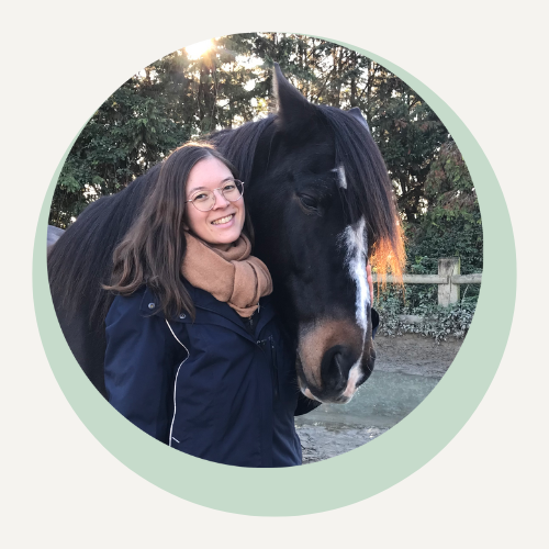 Equicoaching dans l'Ain (01) - Equidea Coaching - Séances et ateliers ...