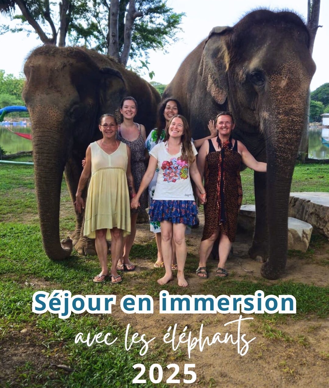 Découvrir - Equidea Coaching