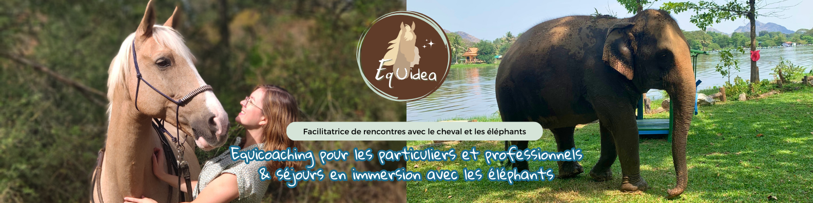 Découvrir - Equidea Coaching